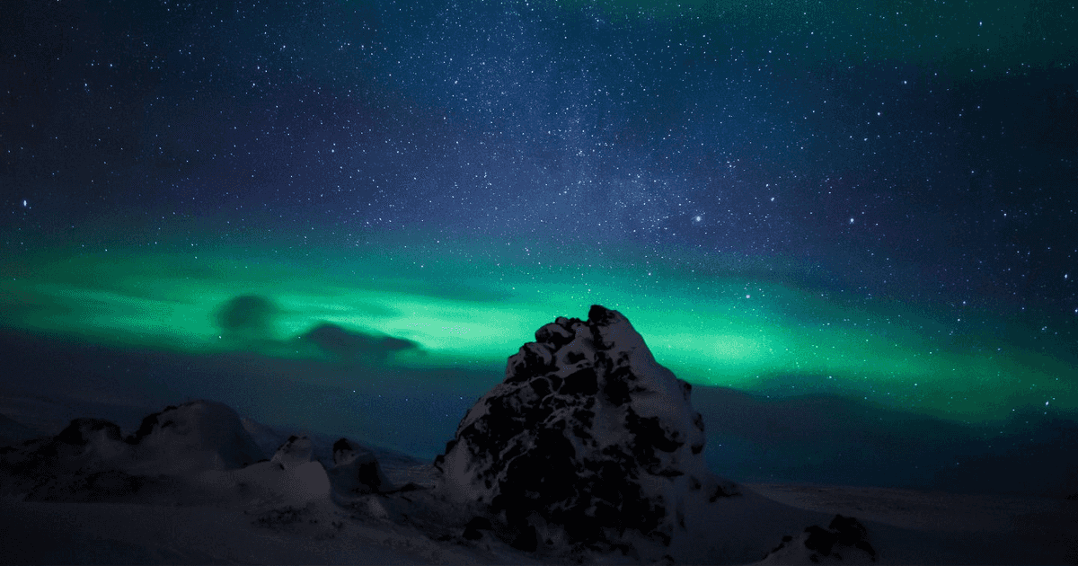 Nature Inspired Ethereum Classic Community Dynamics Proposal