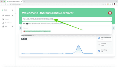 Using the New Blockscout User Interface - Ethereum Classic